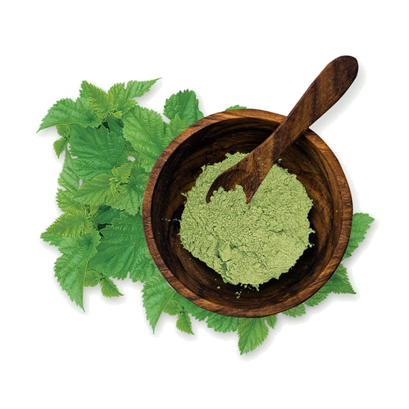 Wholesale Mulberry Leaf Extract - Wonder Ingredients